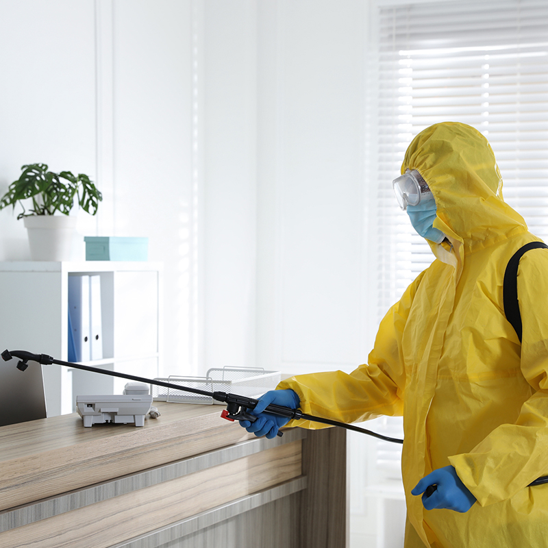 Deep Clean Specialists | Belfast | McCreights Cleaning Services